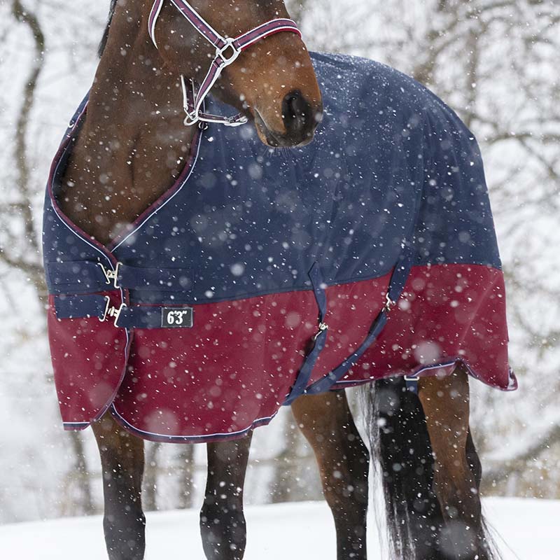 EQUI THEME TYREX 1200D 450G WINTER TURNOUT RUG - MySelleria