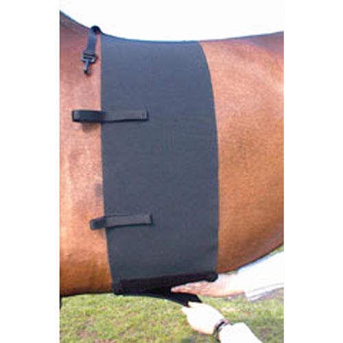 BAND OF RESPECT LOVEHORSES BODY BANDAGE - MySelleria
